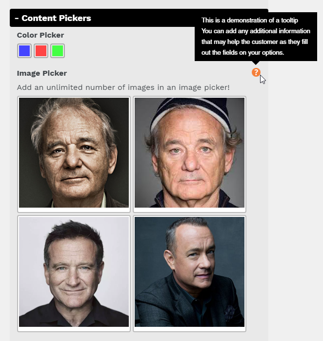 Can I Add an Informational/Description field with Product Options ...